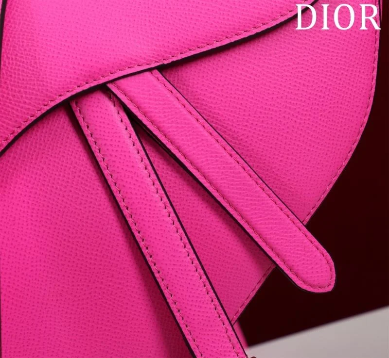 Authentic Christian Dior Saddle bags