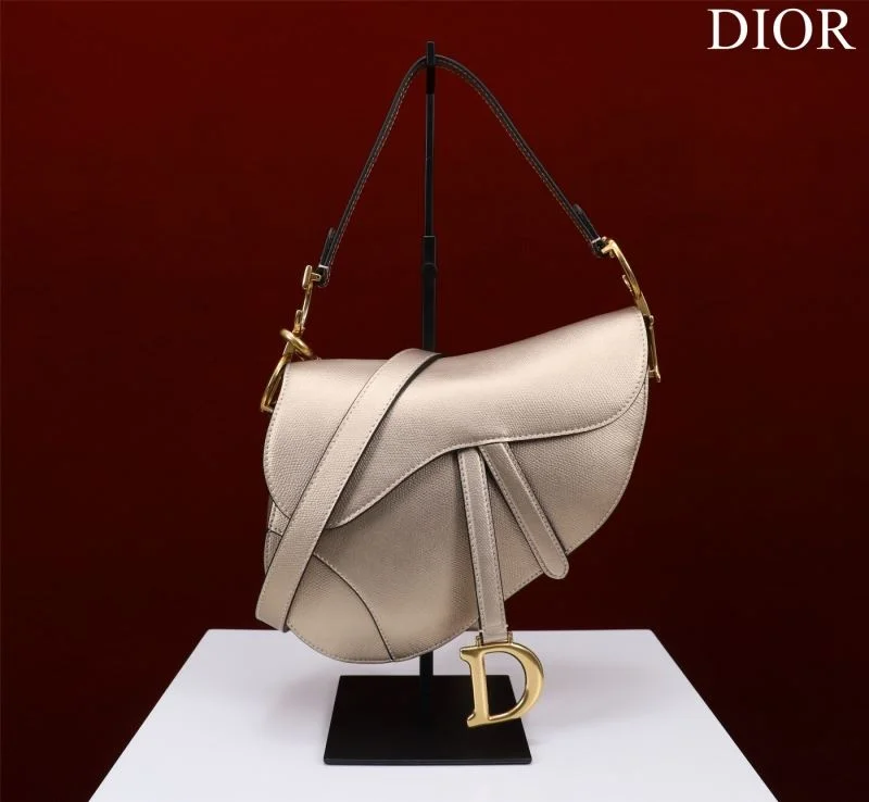 Christian Dior Saddle bags