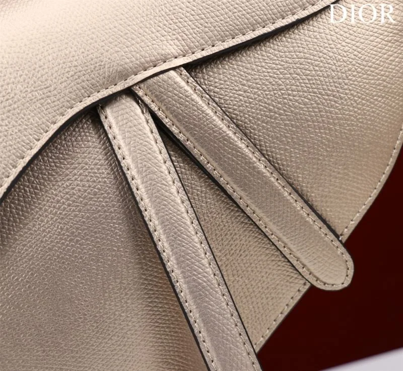 Official Christian Dior Saddle bags