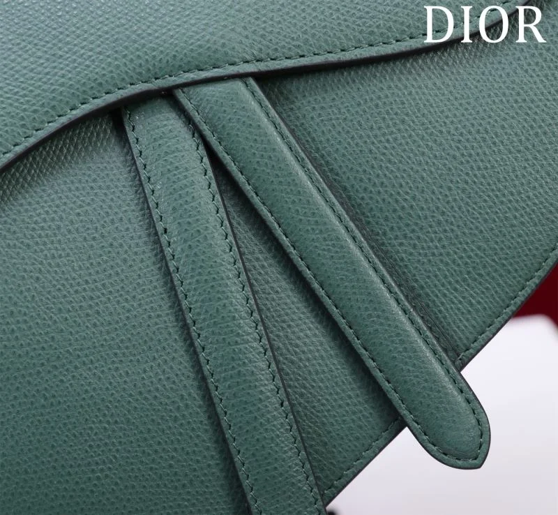 OEM Christian Dior Saddle bags