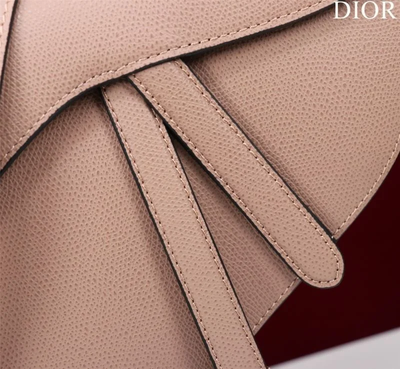Budget-friendly Christian Dior Saddle bags