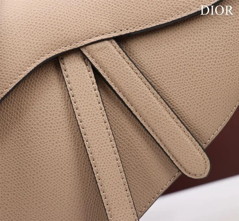 Official Christian Dior Saddle bags