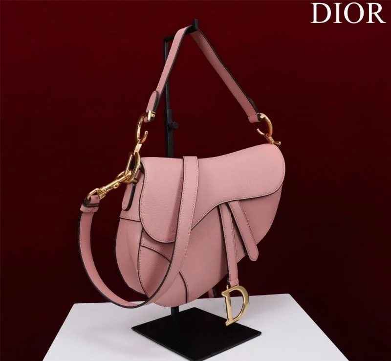 Top mirror Christian Dior Saddle bags