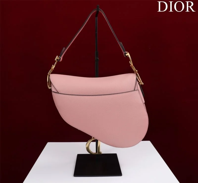 Top mirror Christian Dior Saddle bags