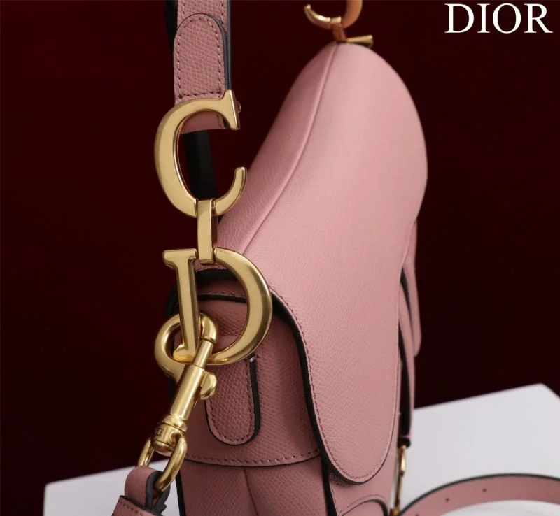 Top mirror Christian Dior Saddle bags