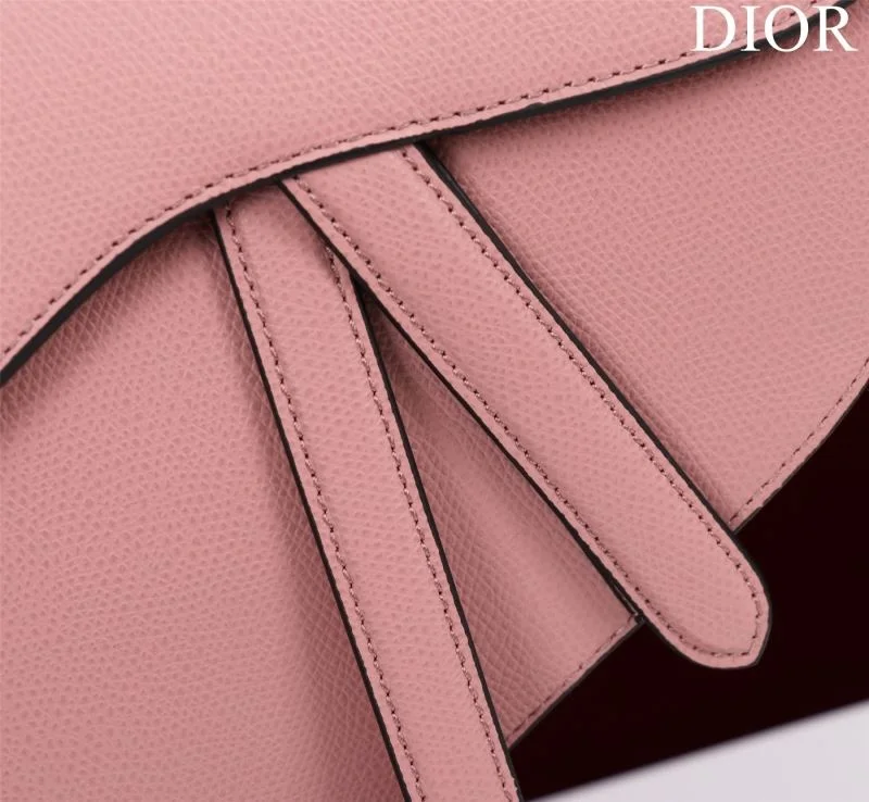Top mirror Christian Dior Saddle bags