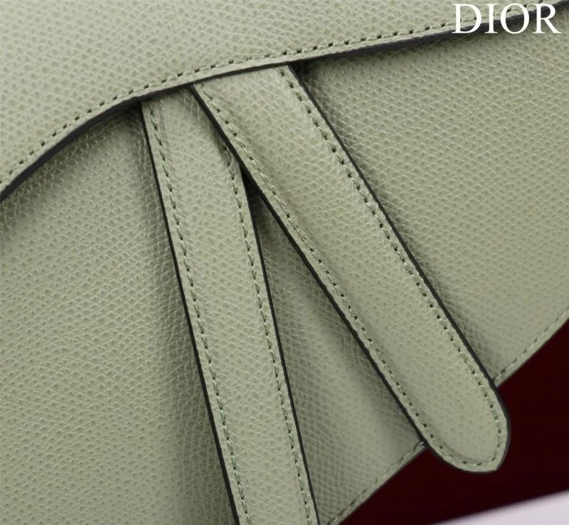 Precise copy Christian Dior Saddle bags