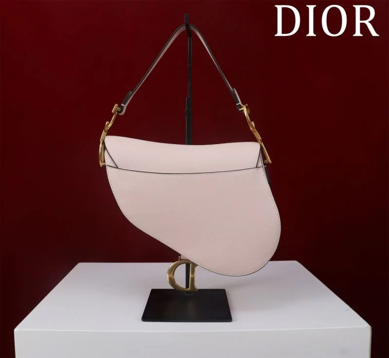 Top match Christian Dior Saddle bags