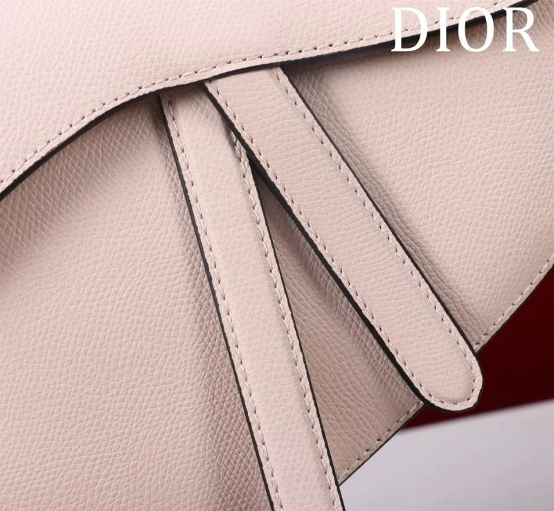 Top match Christian Dior Saddle bags