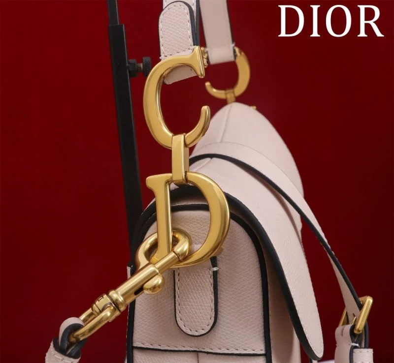 Top match Christian Dior Saddle bags