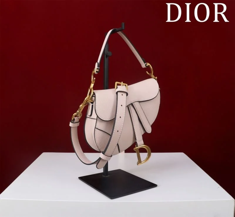 Top mirror Christian Dior Saddle bags