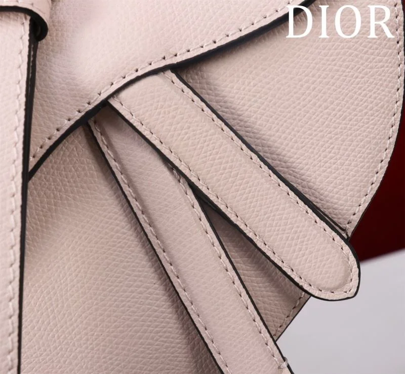 Top mirror Christian Dior Saddle bags
