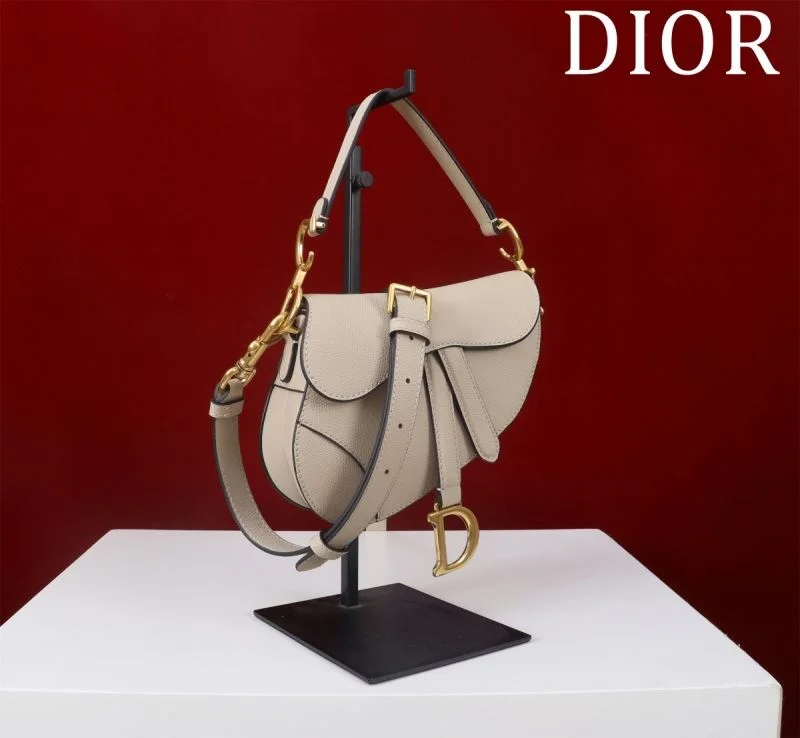 Top mirror Christian Dior Saddle bags
