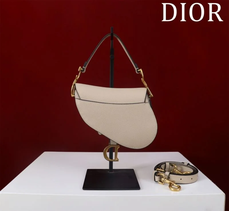 Top mirror Christian Dior Saddle bags