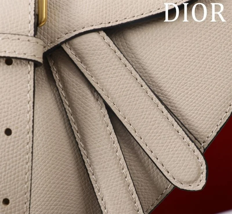 Top mirror Christian Dior Saddle bags