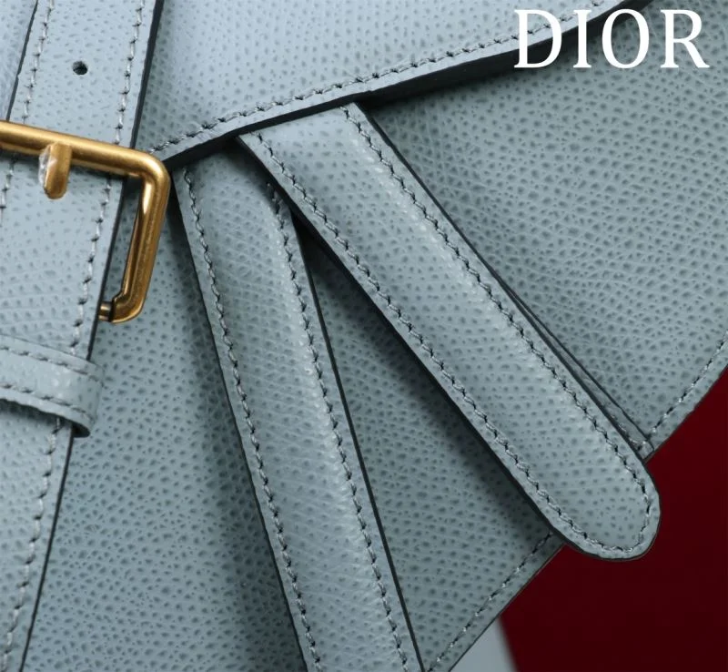 Legit Christian Dior Saddle bags