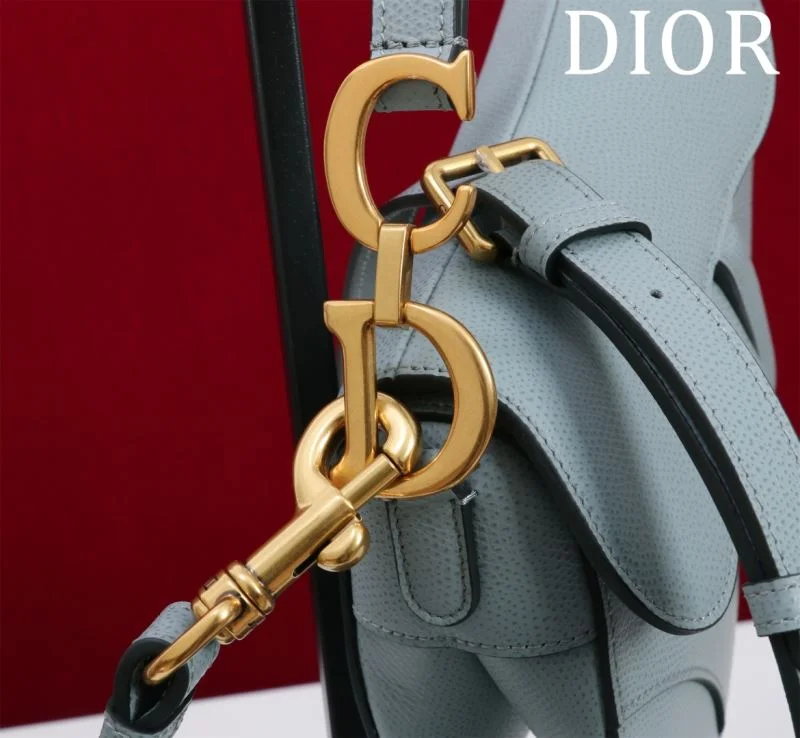 Legit Christian Dior Saddle bags
