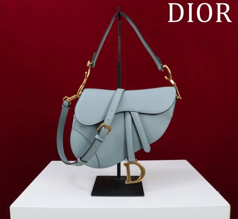 Christian Dior Saddle bags