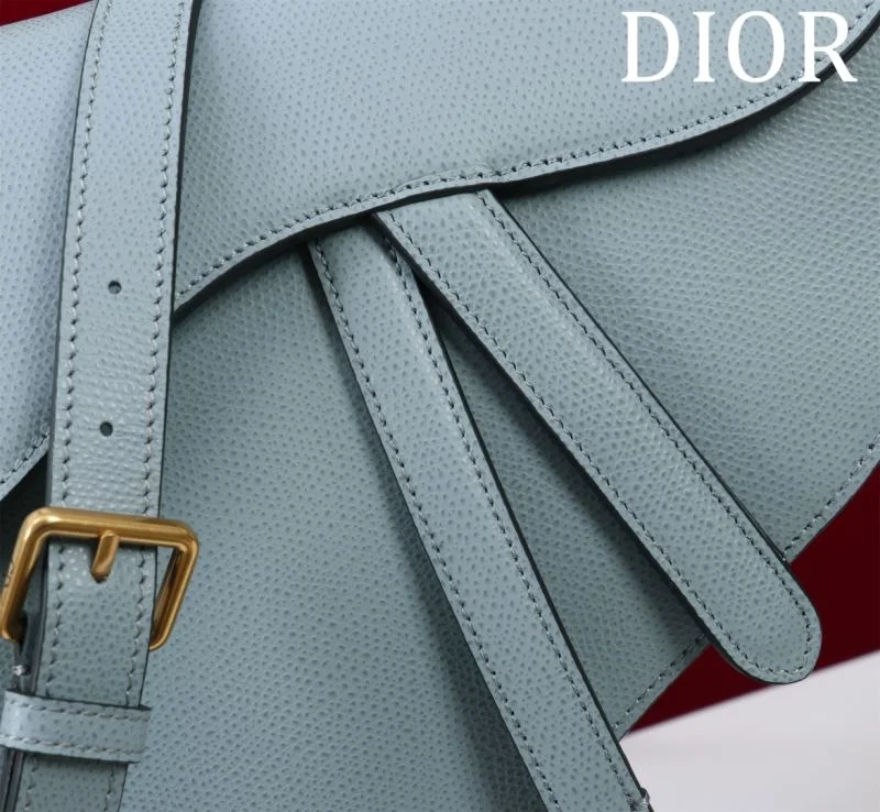 Bargain Christian Dior Saddle bags