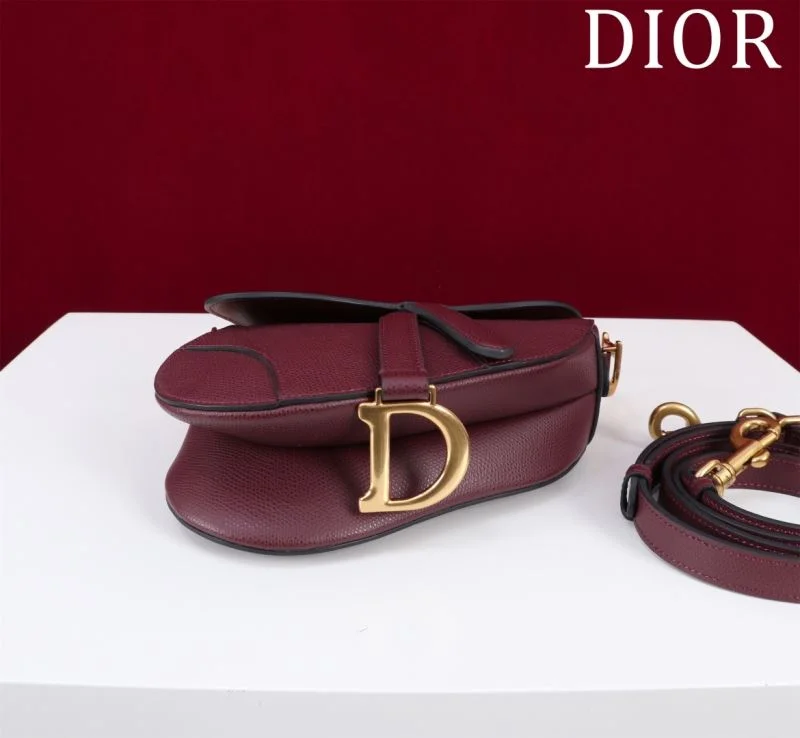 Top match Christian Dior Saddle bags