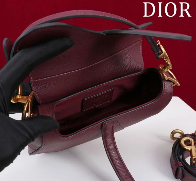 Top match Christian Dior Saddle bags