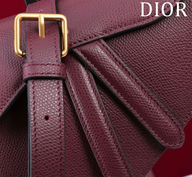 Top match Christian Dior Saddle bags