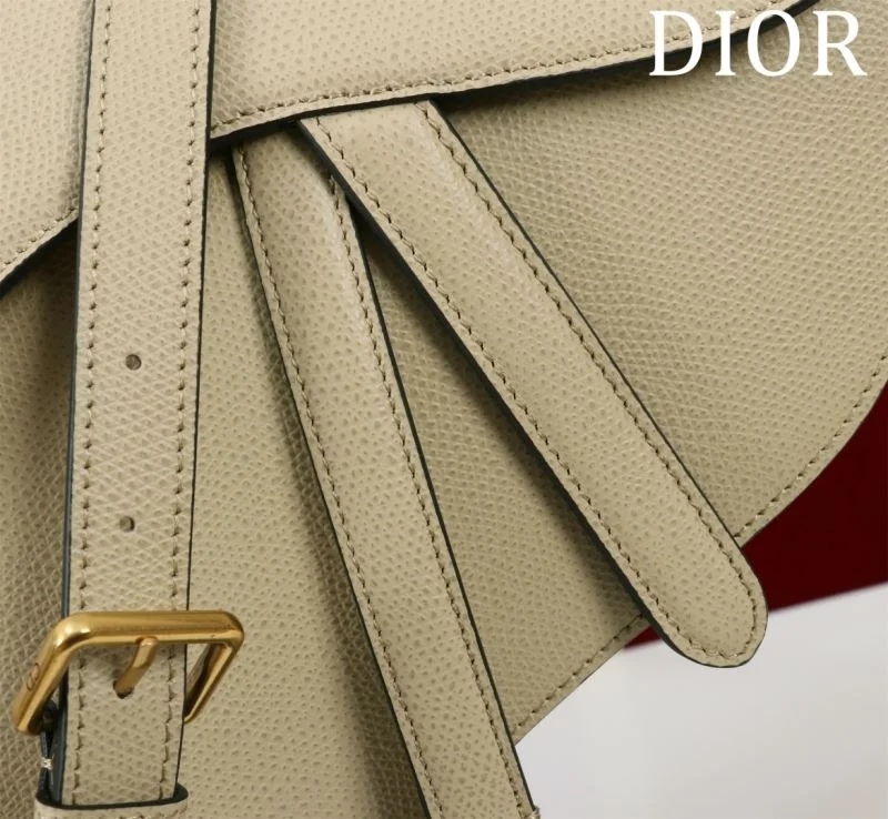 Accurate model Christian Dior Saddle bags
