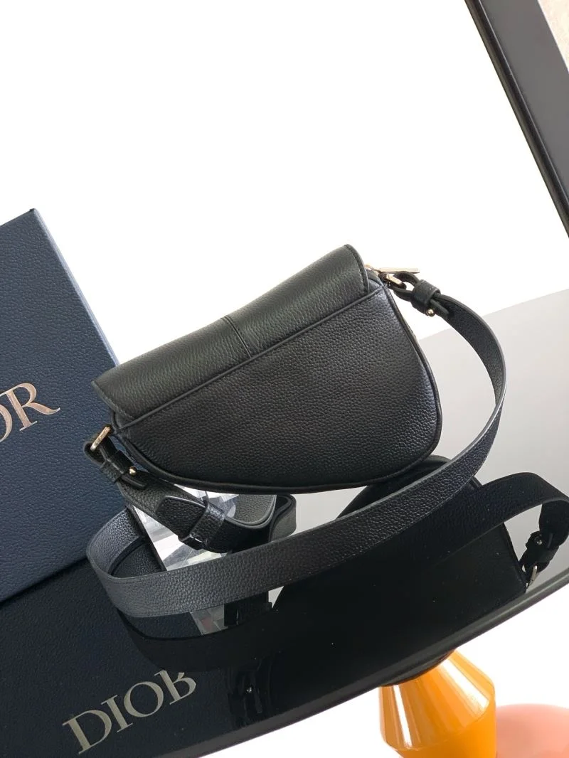 Accurate model Christian Dior Saddle bags