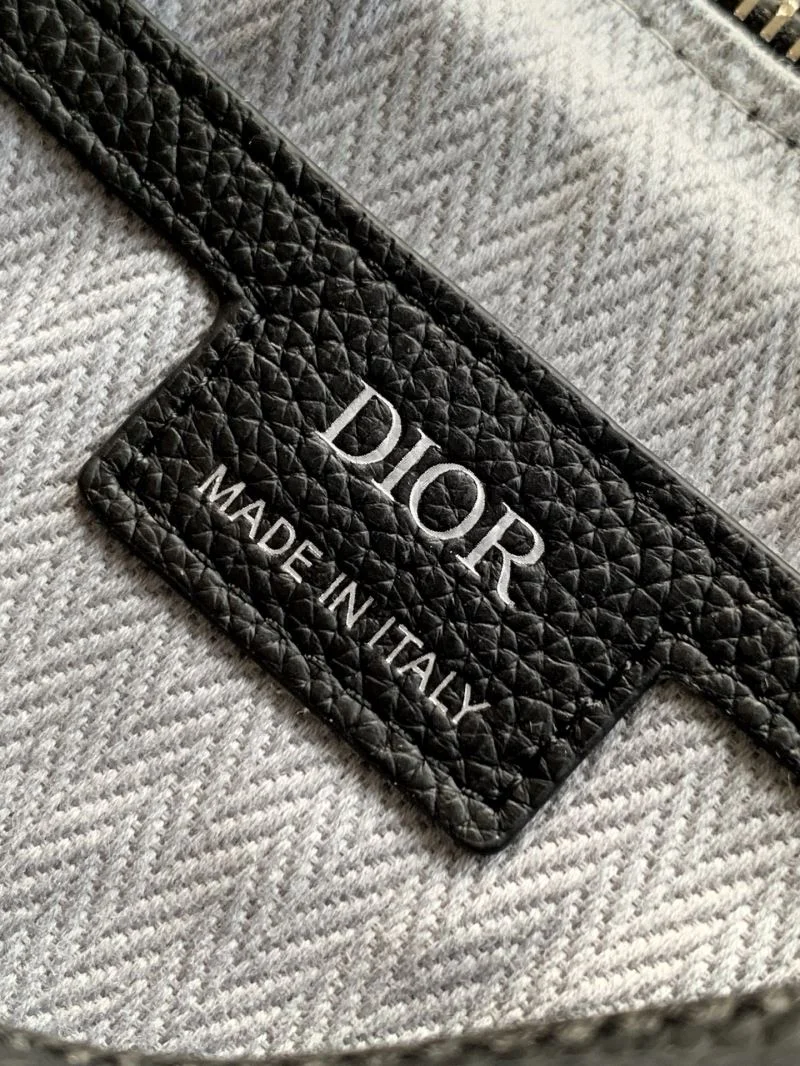 Accurate model Christian Dior Saddle bags