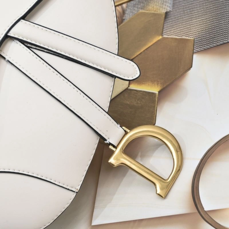 High accuracy Christian Dior Saddle bags