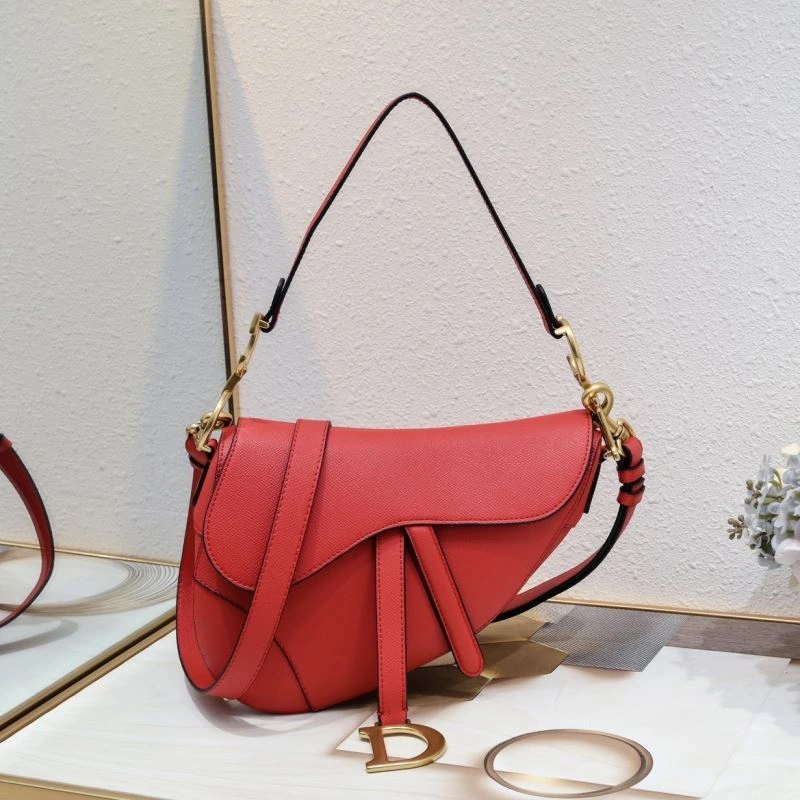 Christian Dior Saddle bags
