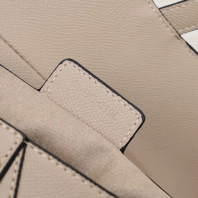 Official Christian Dior Saddle bags