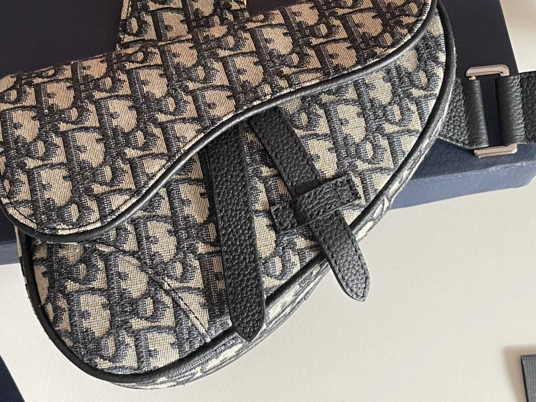 OEM Christian Dior Saddle bags