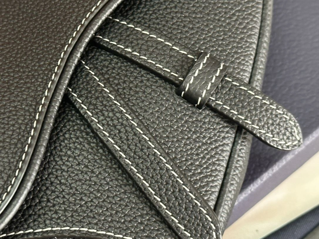 Official Christian Dior Saddle bags