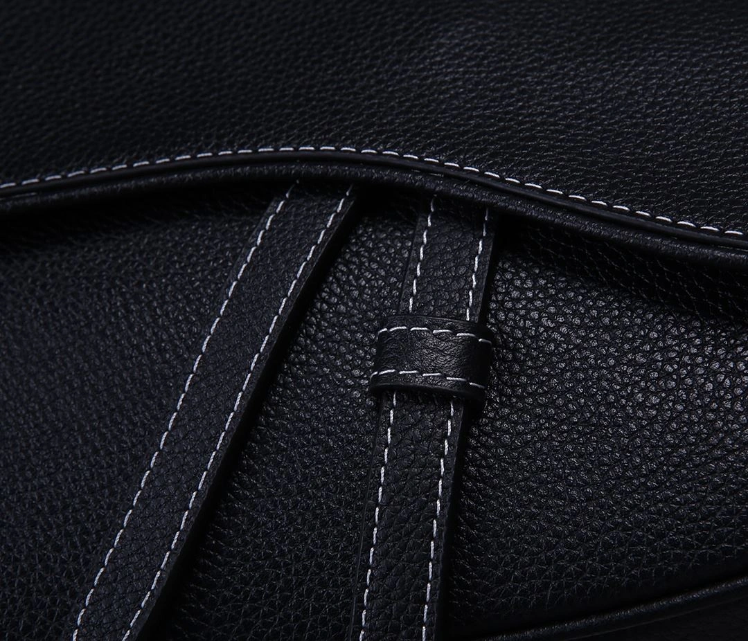 Official Christian Dior Saddle bags