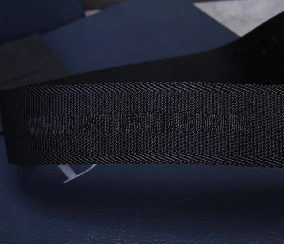 Official Christian Dior Saddle bags