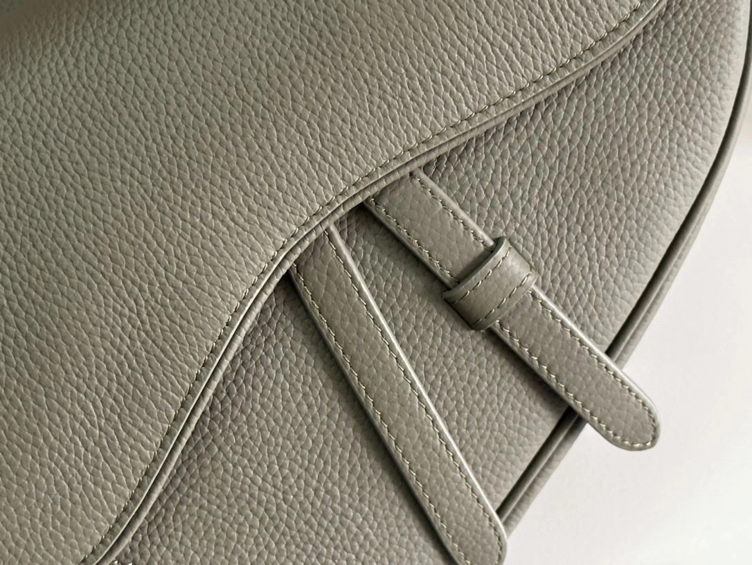 Mirror quality Christian Dior Saddle bags