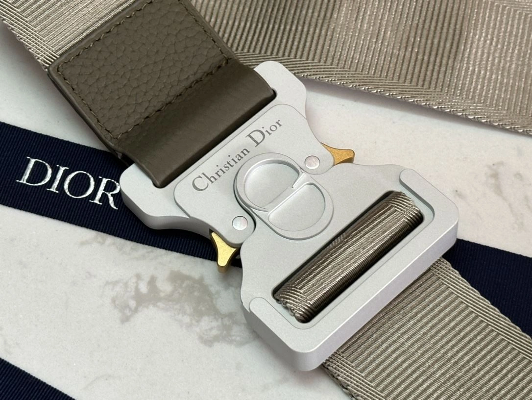 Mirror quality Christian Dior Saddle bags