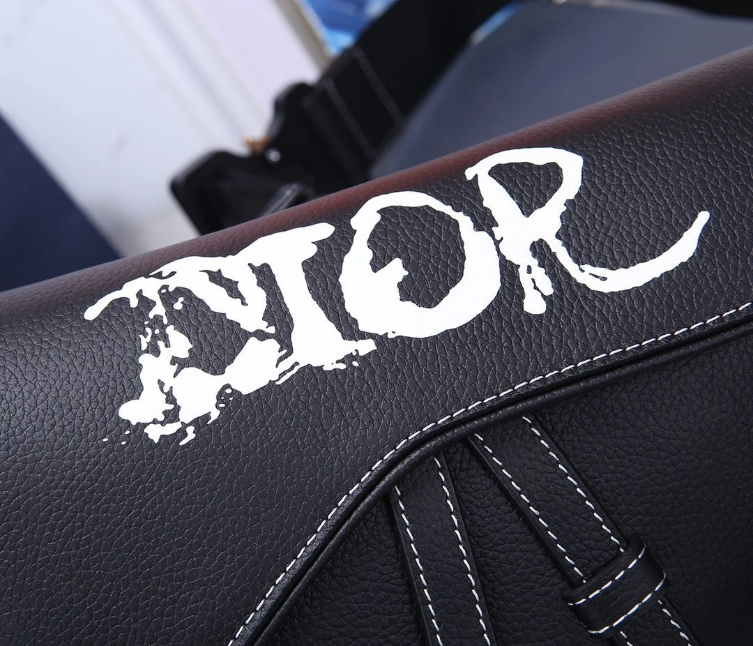 Accurate model Christian Dior Saddle bags