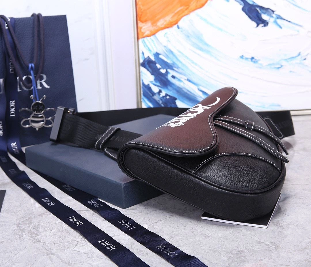 Accurate model Christian Dior Saddle bags
