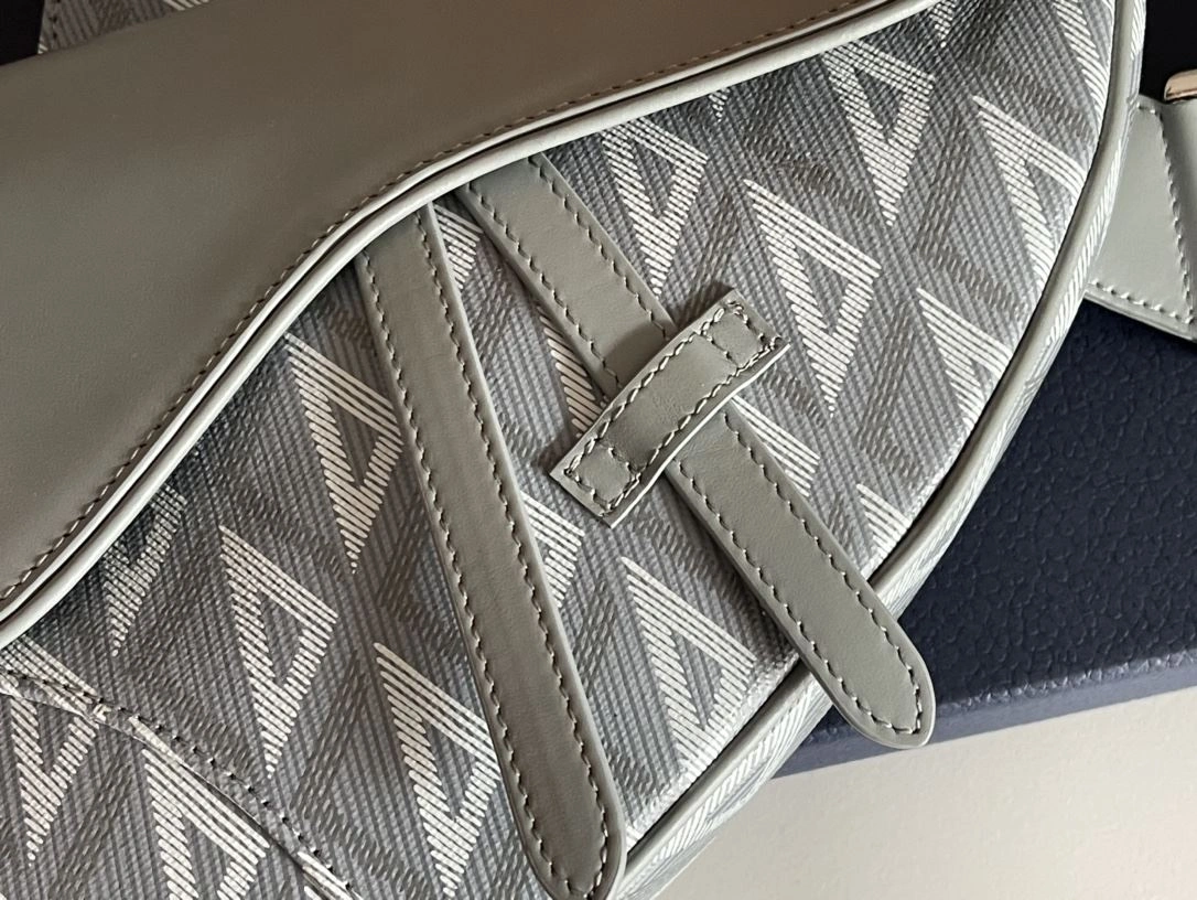 Precise copy Christian Dior Saddle bags