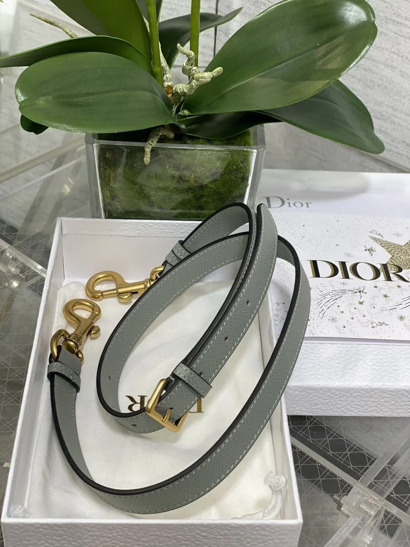 Legit Christian Dior Saddle bags