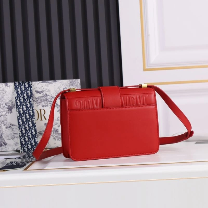 High accuracy Christian Dior Satchel Bags