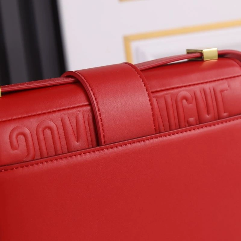 High accuracy Christian Dior Satchel Bags