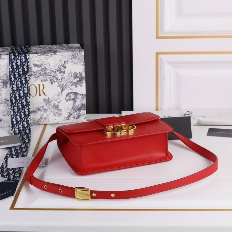 High accuracy Christian Dior Satchel Bags