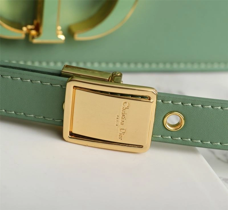 Official Christian Dior Satchel Bags