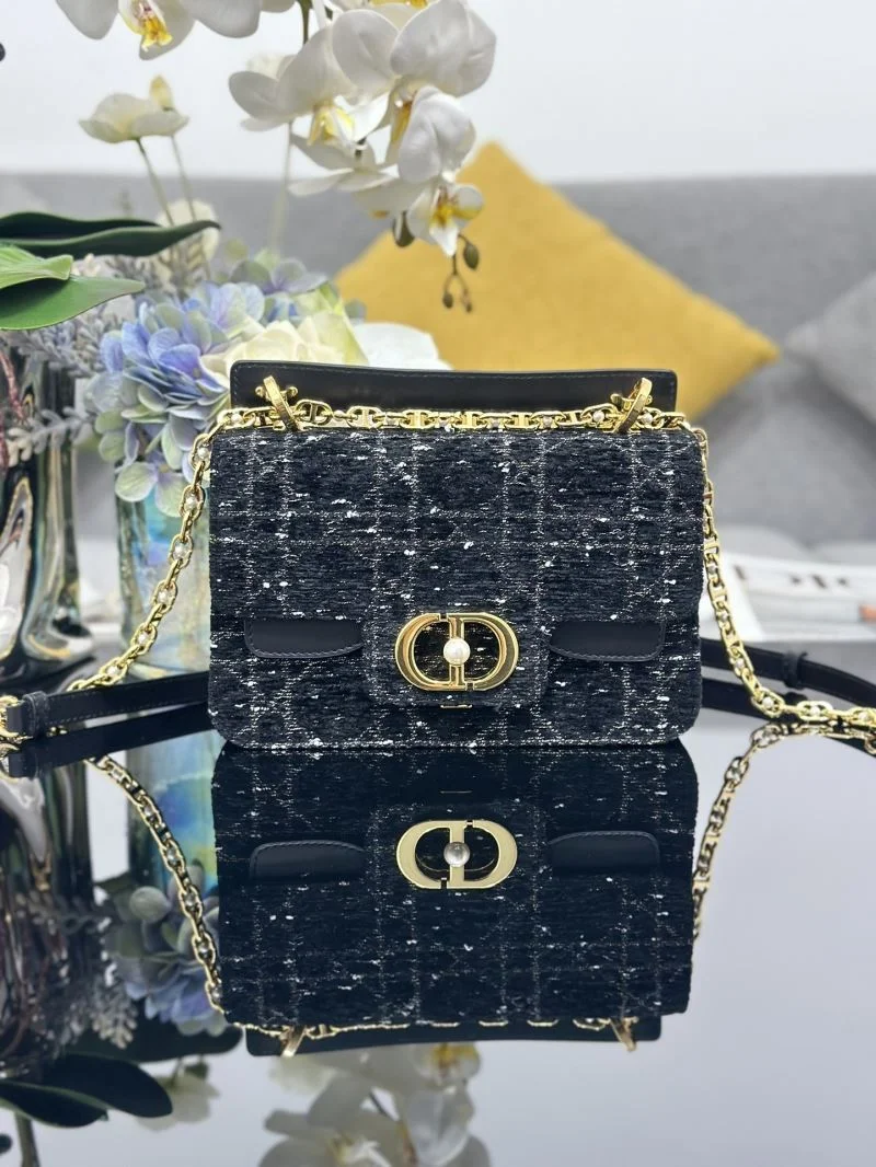 Christian Dior Satchel Bags