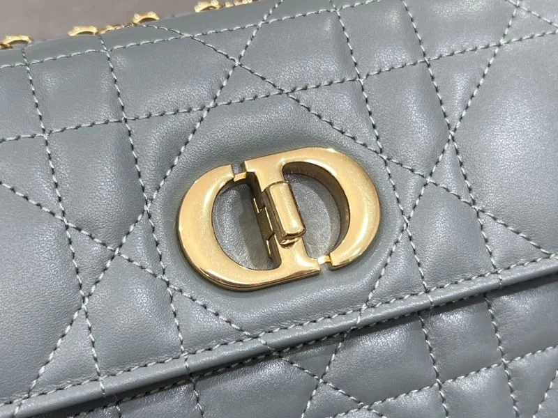 Official Christian Dior Satchel Bags