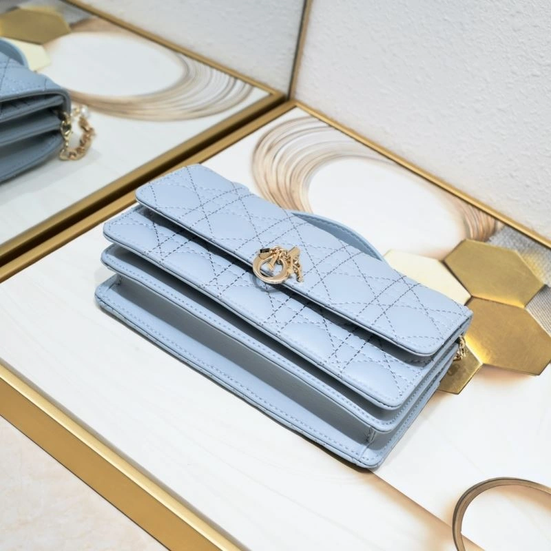 Reasonably priced Christian Dior Satchel Bags