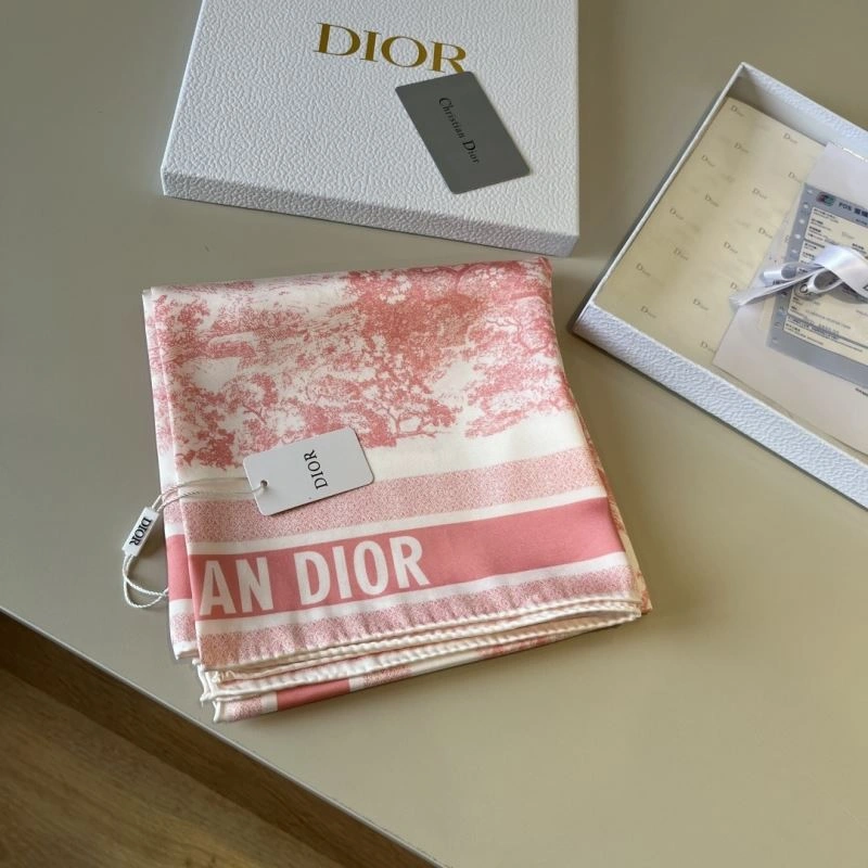 Discounted Christian Dior Scarf